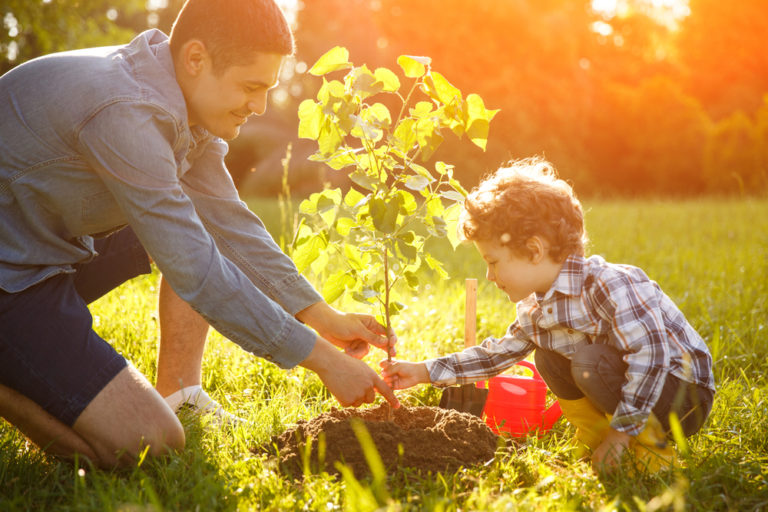 Comment planter un arbre dans son jardin ? Nos conseils de pro ...