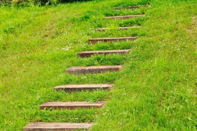 Faire un escalier dans un talus pentu : mode d’emploi - Débroussaillez