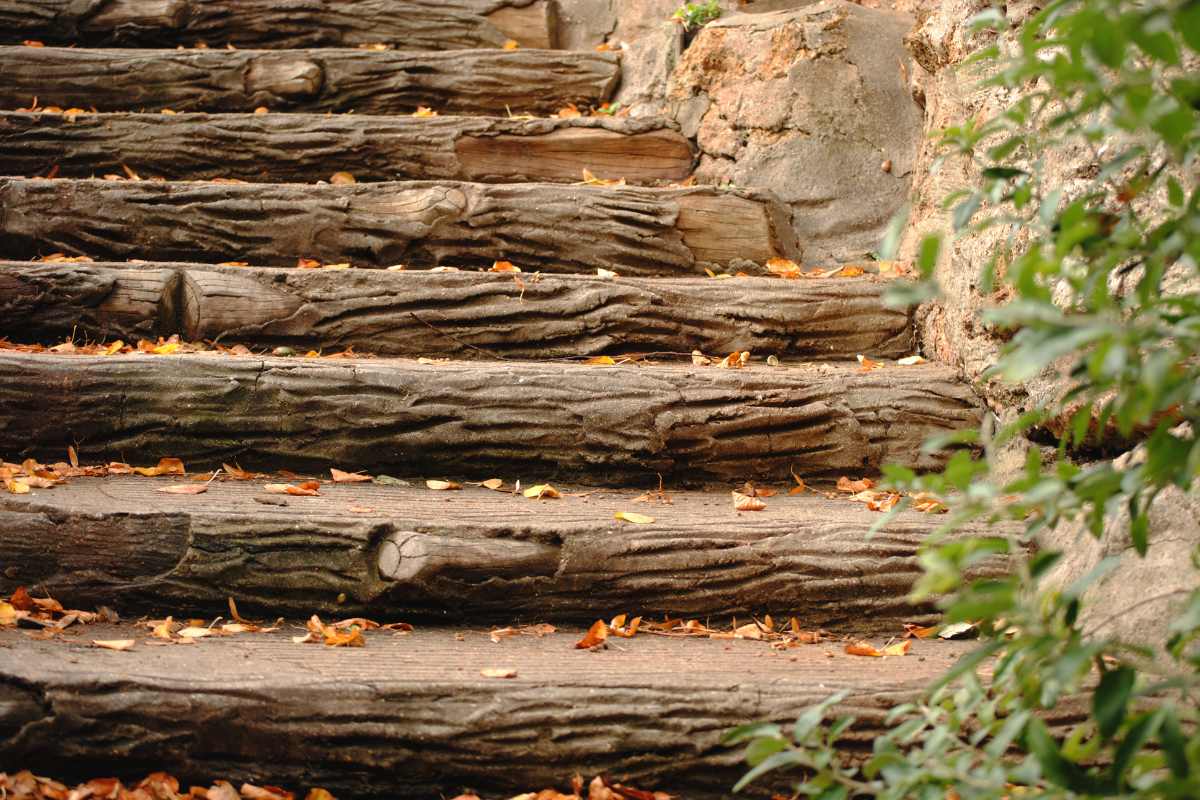 Faire un escalier dans un talus pentu : mode d’emploi - Débroussaillez Faire un escalier dans un talus pentu : mode d’emploi - Débroussaillez