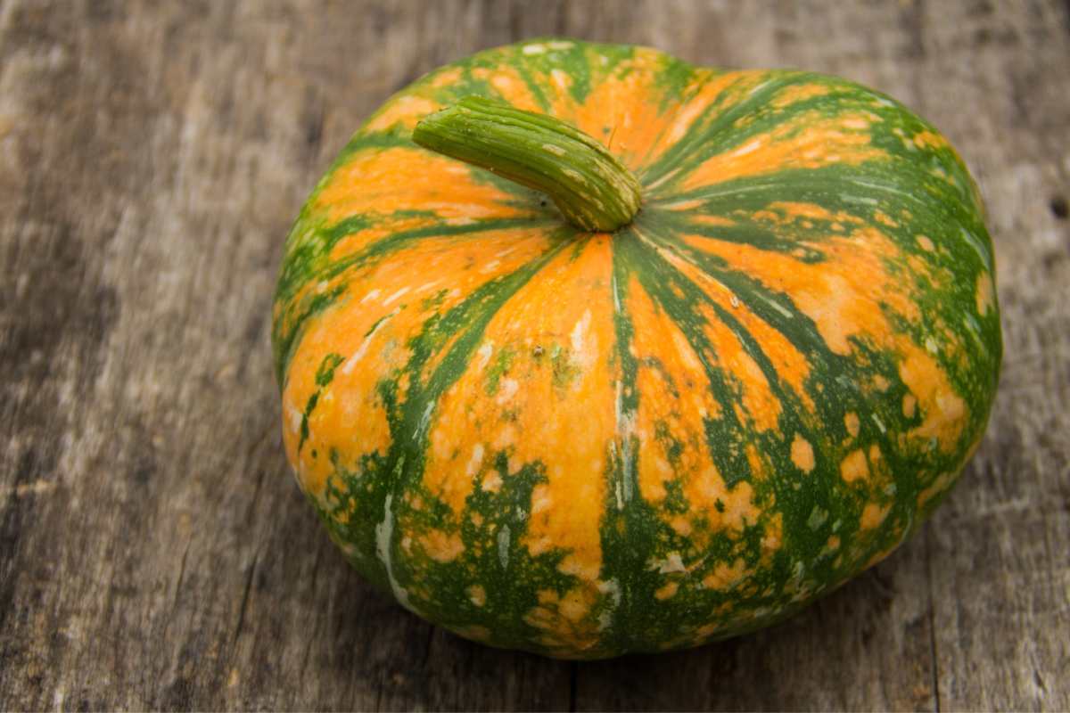 Le point sur les variétés de courges : notre guide - Débroussaillez