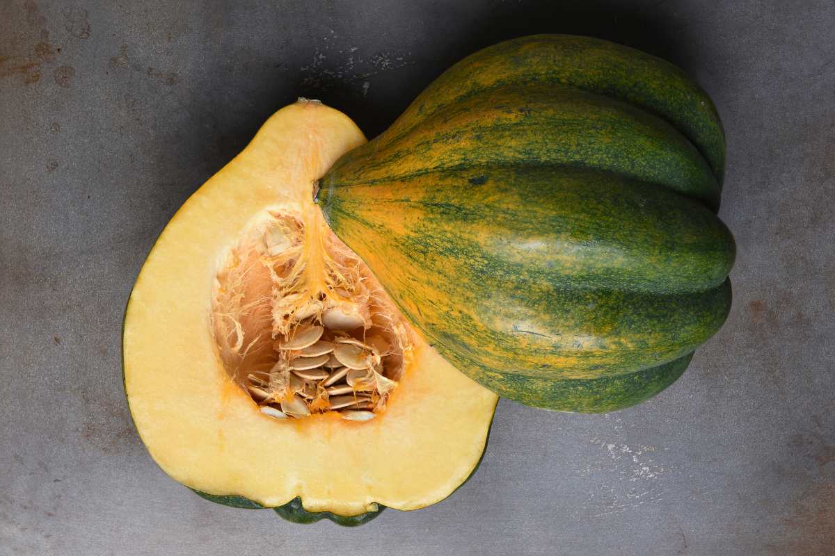 Le point sur les variétés de courges : notre guide - Débroussaillez